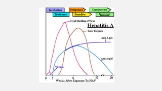 Jaundice and LFT interpretation | PDF
