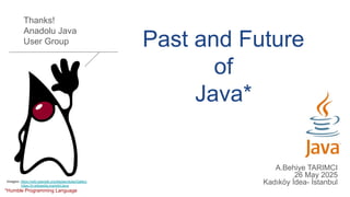 Java Programming Language: until 2025 and beyond | PPT