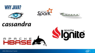 Persistent Memory Programming with Java* | PDF | Programming Languages | Computing