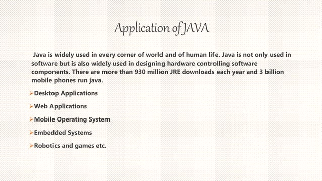java basics.pptx