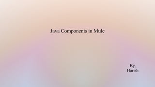 Java components in mule | PPT