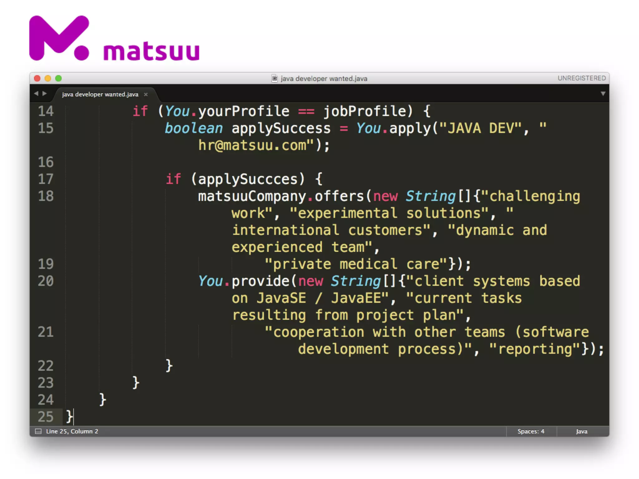JAVA Developer wanted! | PDF | Programming Languages | Computing