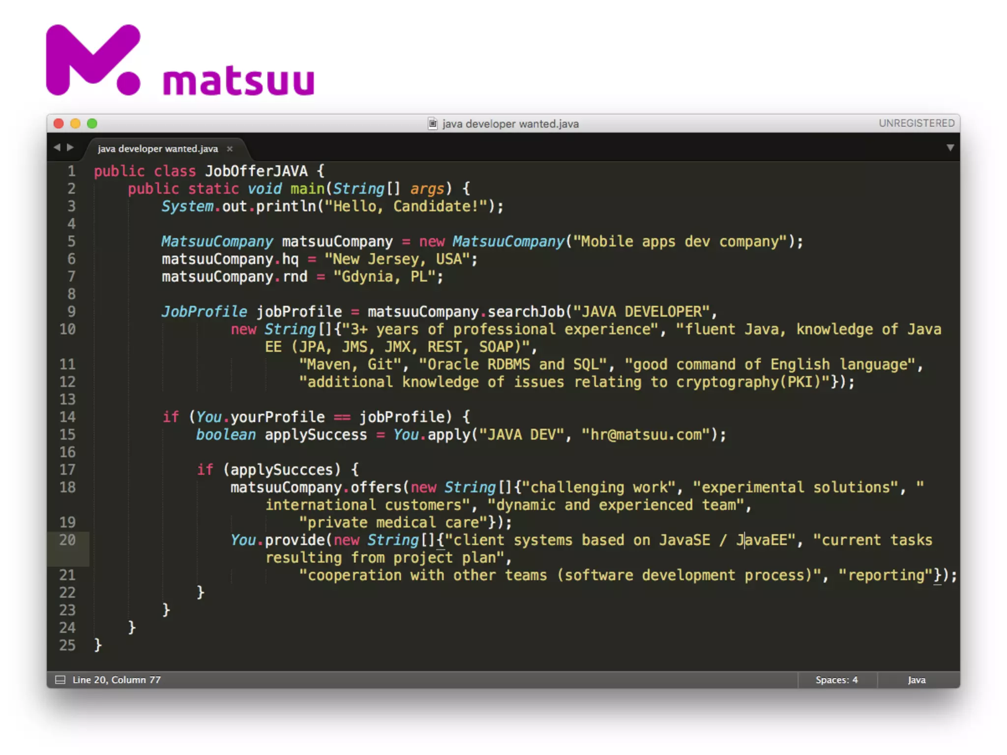 JAVA Developer wanted! | PDF
