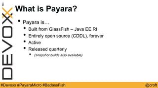 JavaEE Microservices -the Payara Way | PPT