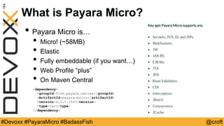 JavaEE Microservices -the Payara Way | PPT