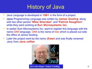 Introduction to Java Programming, Basic Structure, variables Data type ...