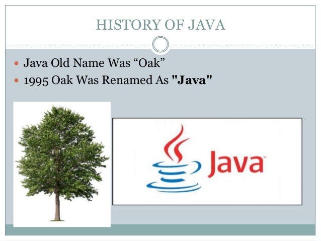 History Of Java