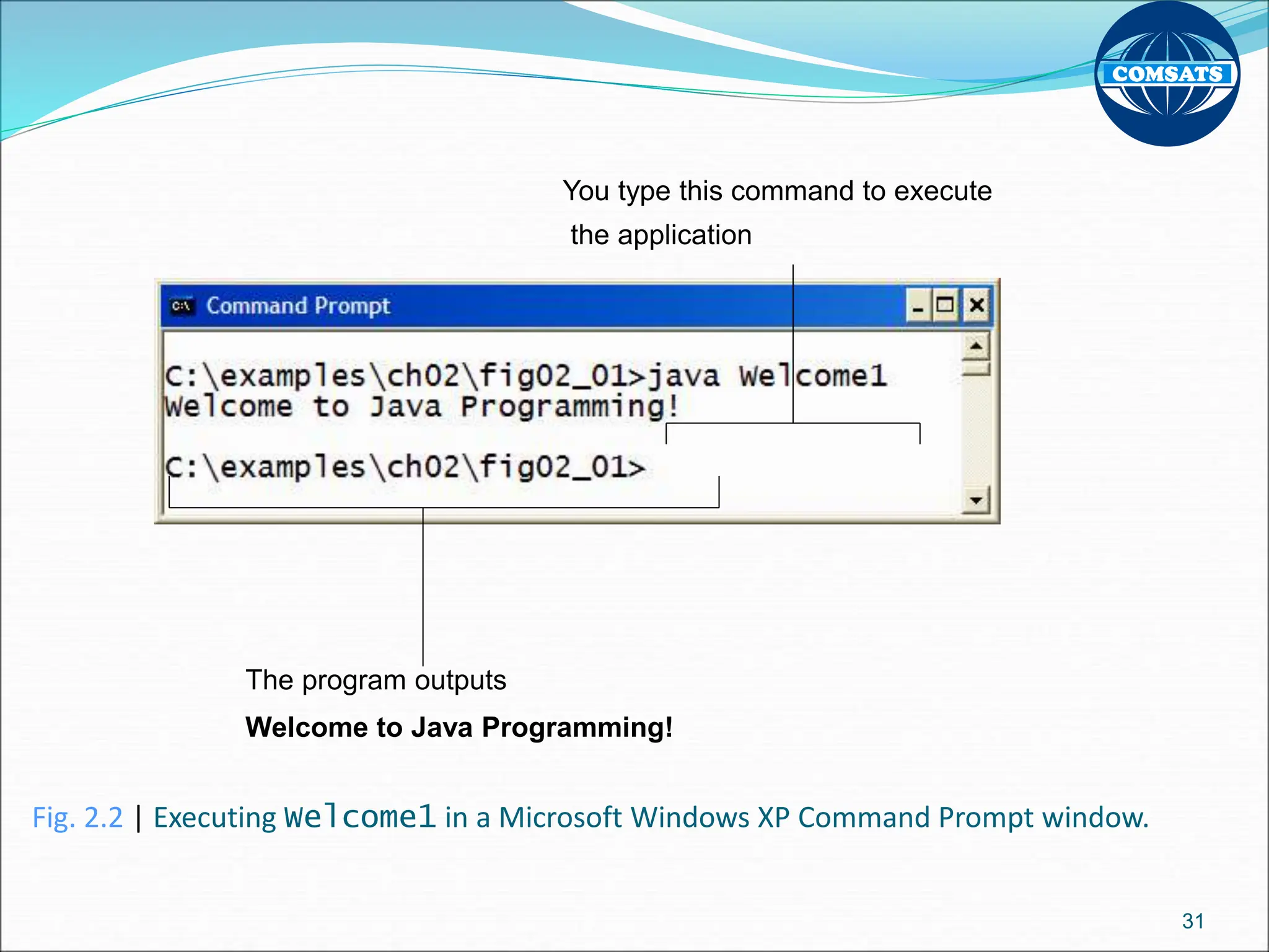 JavaHTP7e_0202_DDP.ppt
