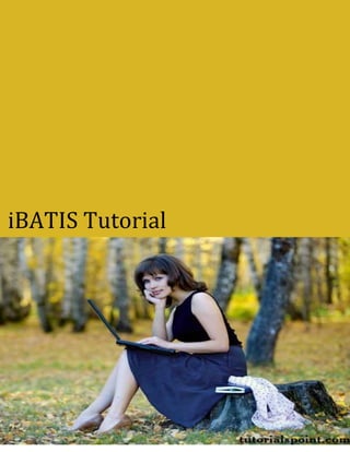 Java ibatis tutorial | PDF