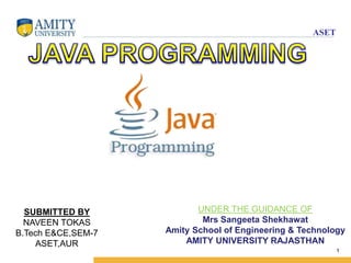 JAVA PPT by NAVEEN TOKAS | PPT