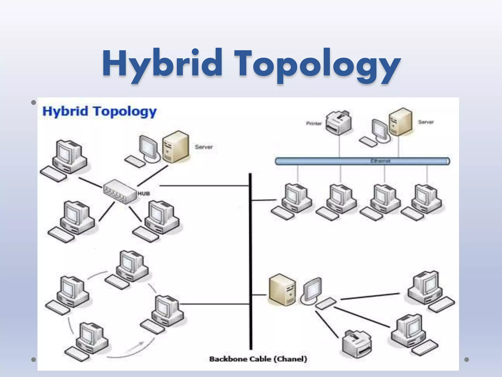 Network topology | PPT