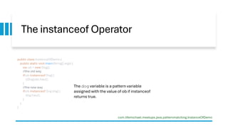 Introduction to Pattern Matching in Java [Free Meetup] | PDF