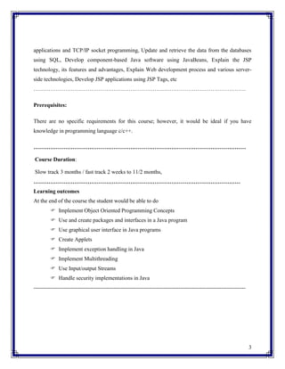 Java programing brochure | PDF