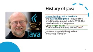 Java Programming language computerr.pptx
