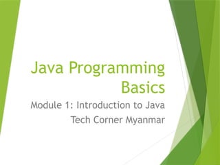 Java_Programming_lan_Basics_Module1.pptx