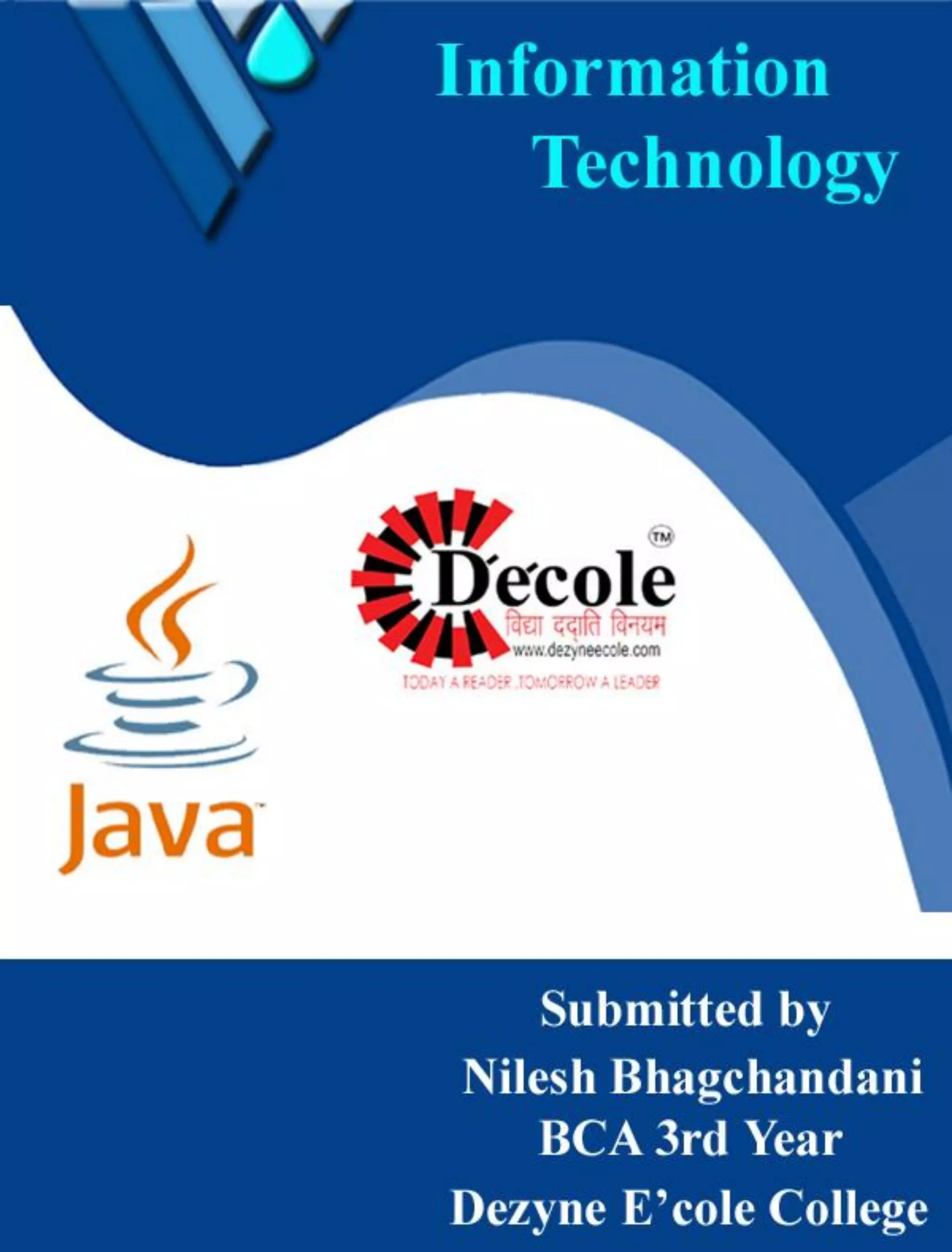 Nilesh Bhagchandani,Project on JAVA Programming,Final Year BCA ,Dezyne E'cole College | PDF