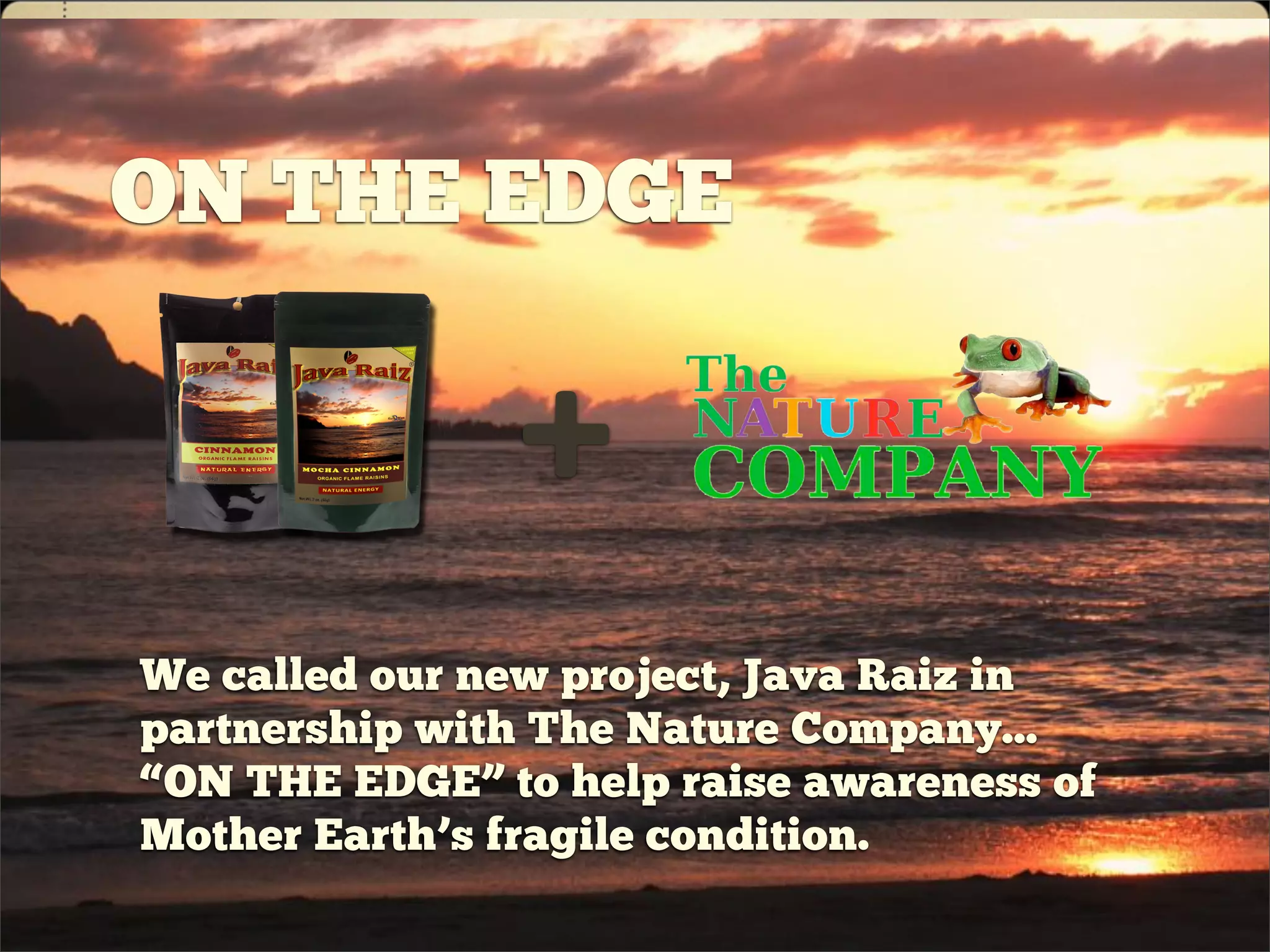 Java Raiz - ON THE EDGE partnership | PDF | Nutrition | Healthy Living