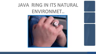 Java Ring | PPTX | Programming Languages | Computing
