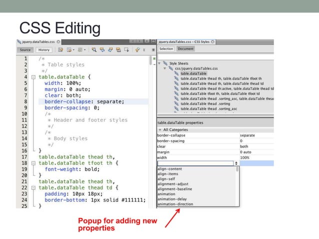 Java script nirvana in netbeans [con5679] | PPT