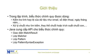 Java SE Advance Chapter10: Regular Expression | PPT