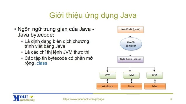 Java SE Basic: Chapter1_Introduce | PPTX