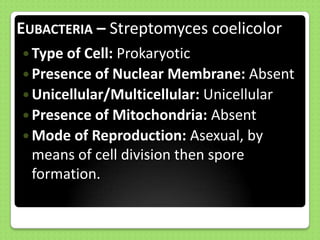 Archaeabacteria and Eubacteria Sample Species (Methanospirillum hungatii & Streptomyces ...