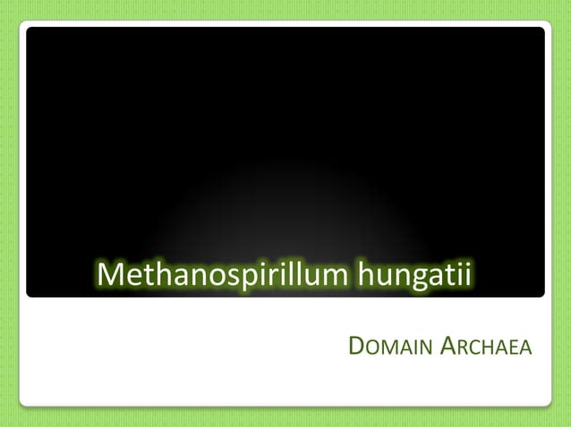Archaeabacteria and Eubacteria Sample Species (Methanospirillum hungatii & Streptomyces ...