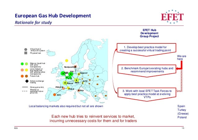 Institutional and Organizational Designs of Natural Gas Hubs-Javier F…