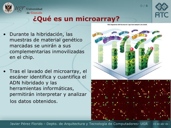 Nuevos enfoques en el análisis de datos de microarrays.