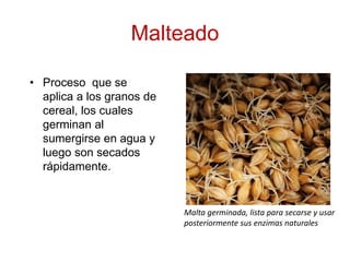 Malteado de cereal y sus enzimas | PPTX