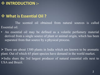 extraction of essential oil from aromatic plants | PPTX