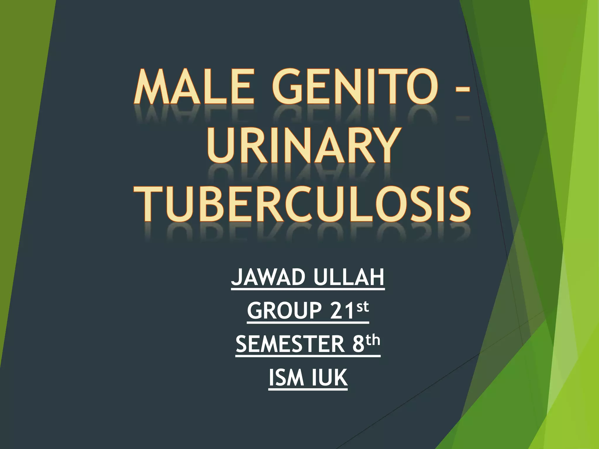 Male Genito-Urinary Tuberculosis | PPT