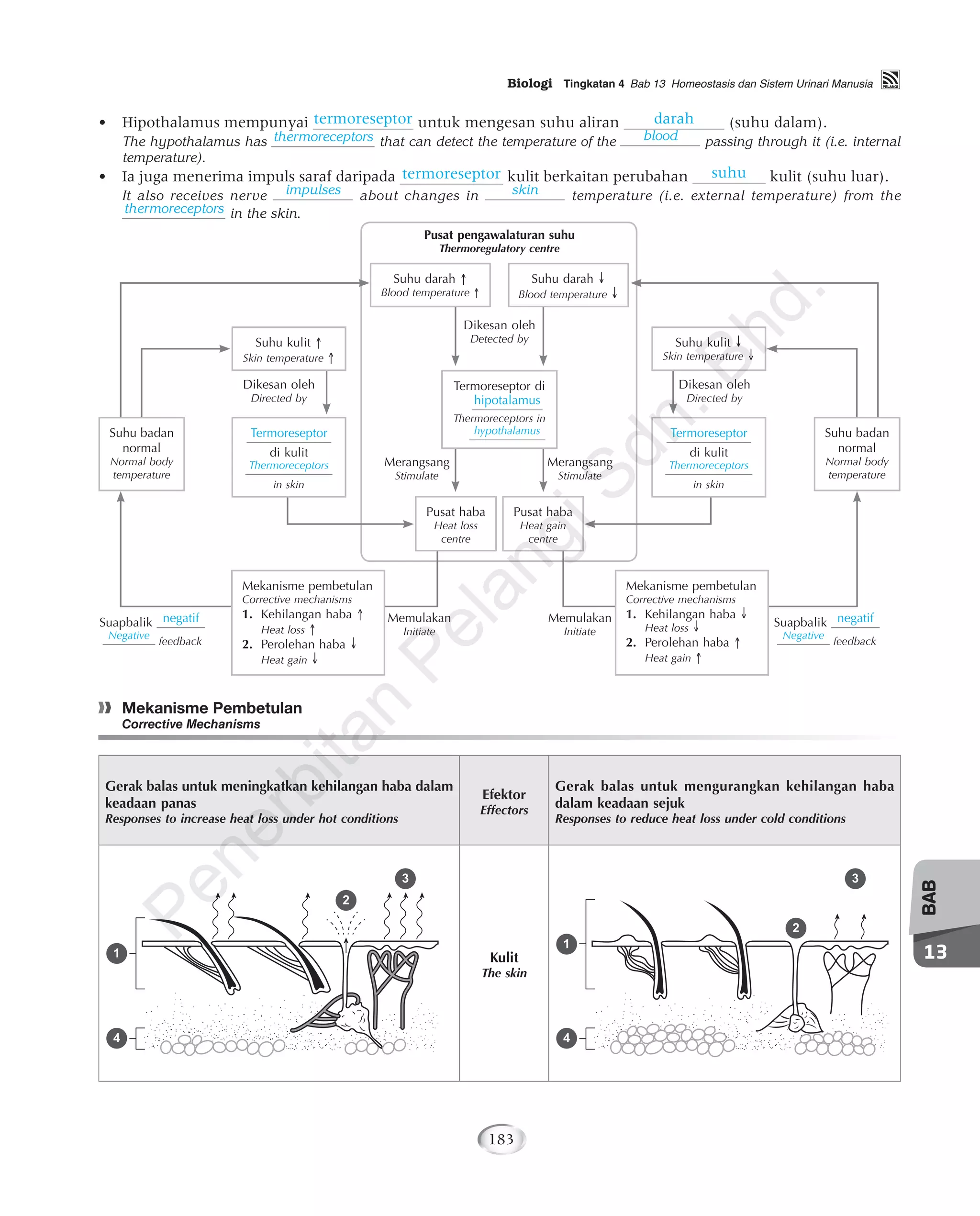 JawapanBab13.pdf