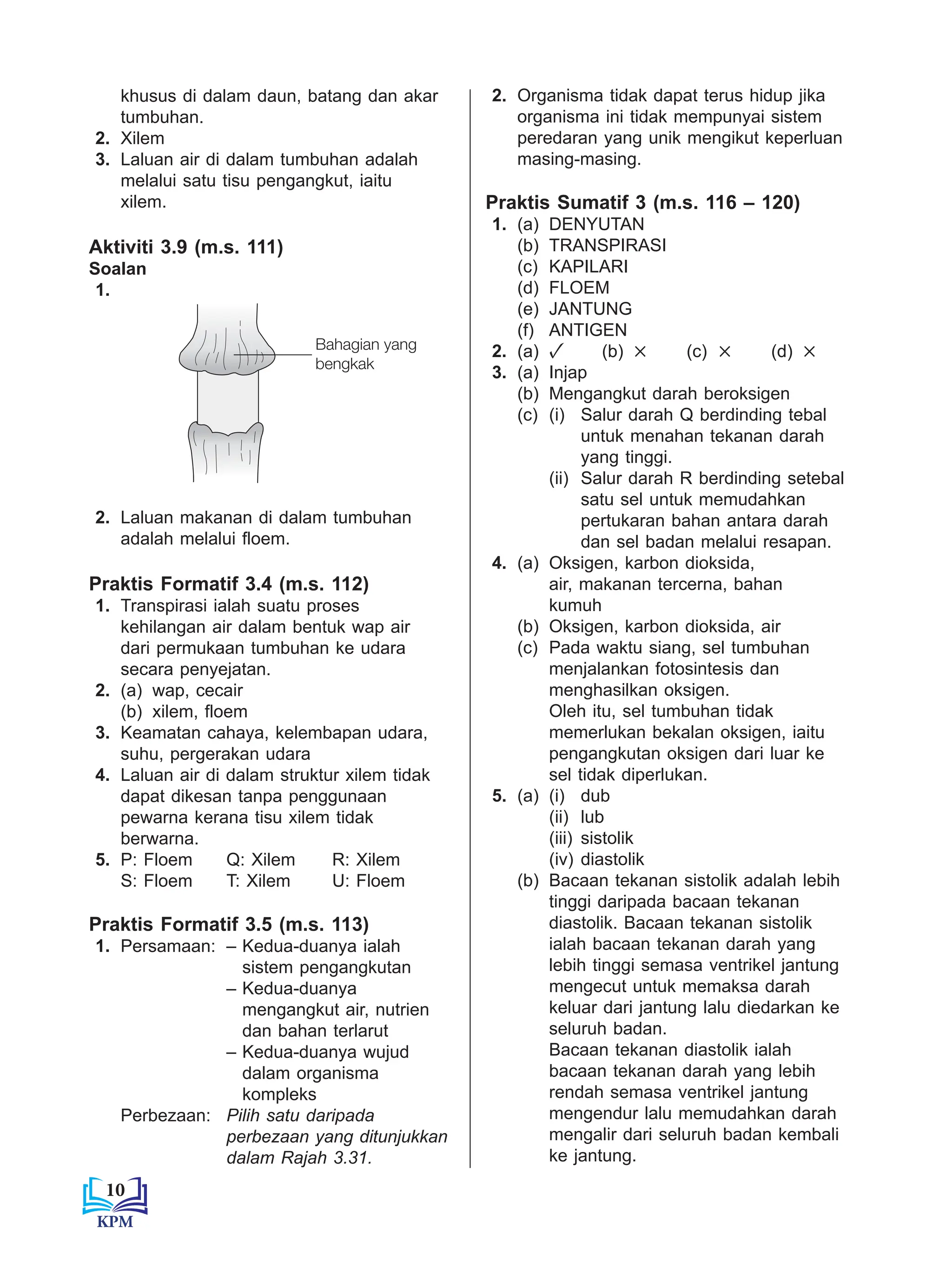 JAWAPAN BT SAINS TINGKATAN TIGA SESI 2024/2025 | PDF