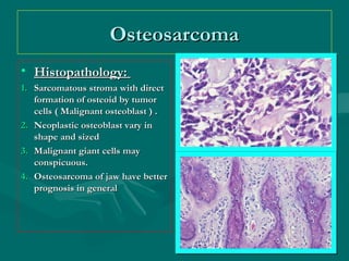 Osteosarcoma Jaw Histology
