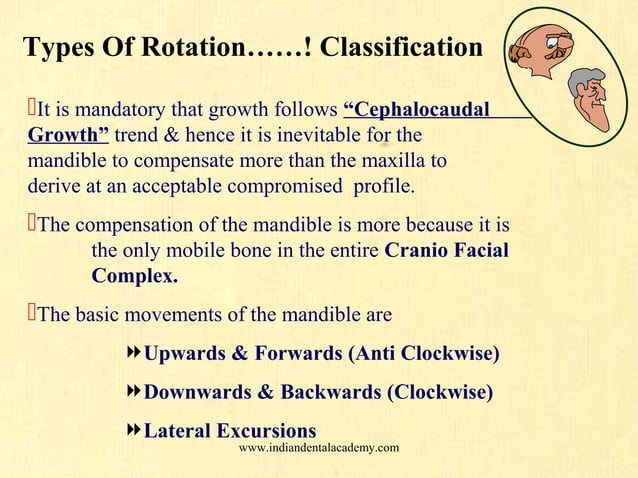 Jaw geometry (2) | PPT