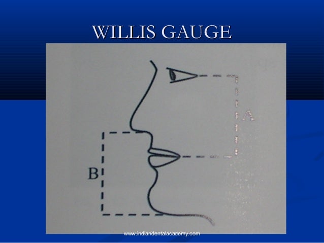 Jaw relations /endodontic courses