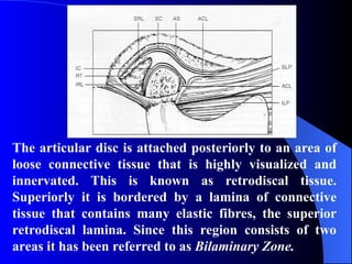 jaw relation Complete denture JAW RELATION | PPT