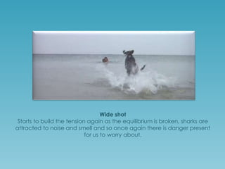 Jaws Camera-shots Analysis | PPTX