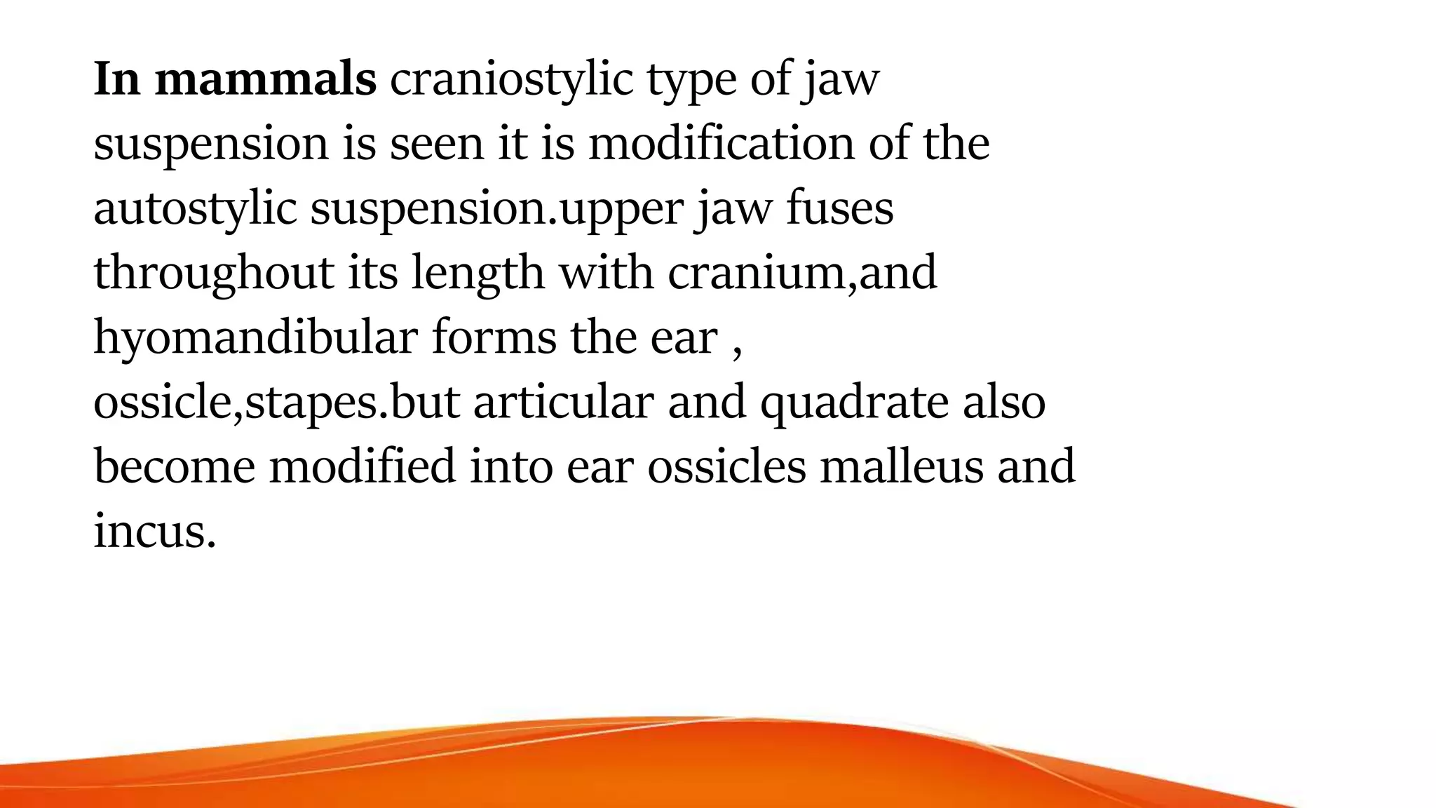 Comparative account of jaw suspensuriumJ | PPTX