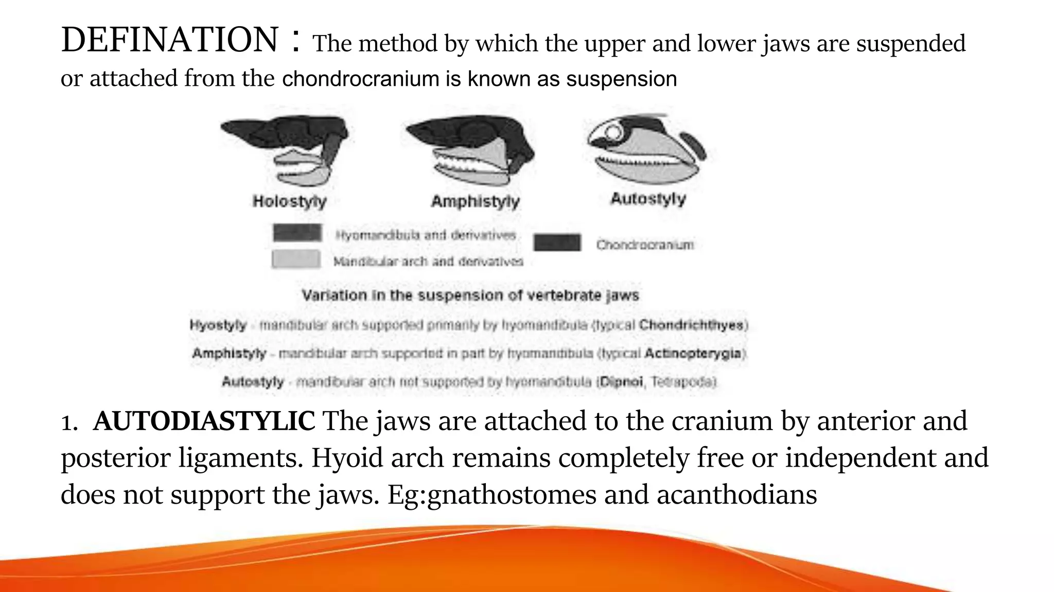 Comparative account of jaw suspensuriumJ | PPTX