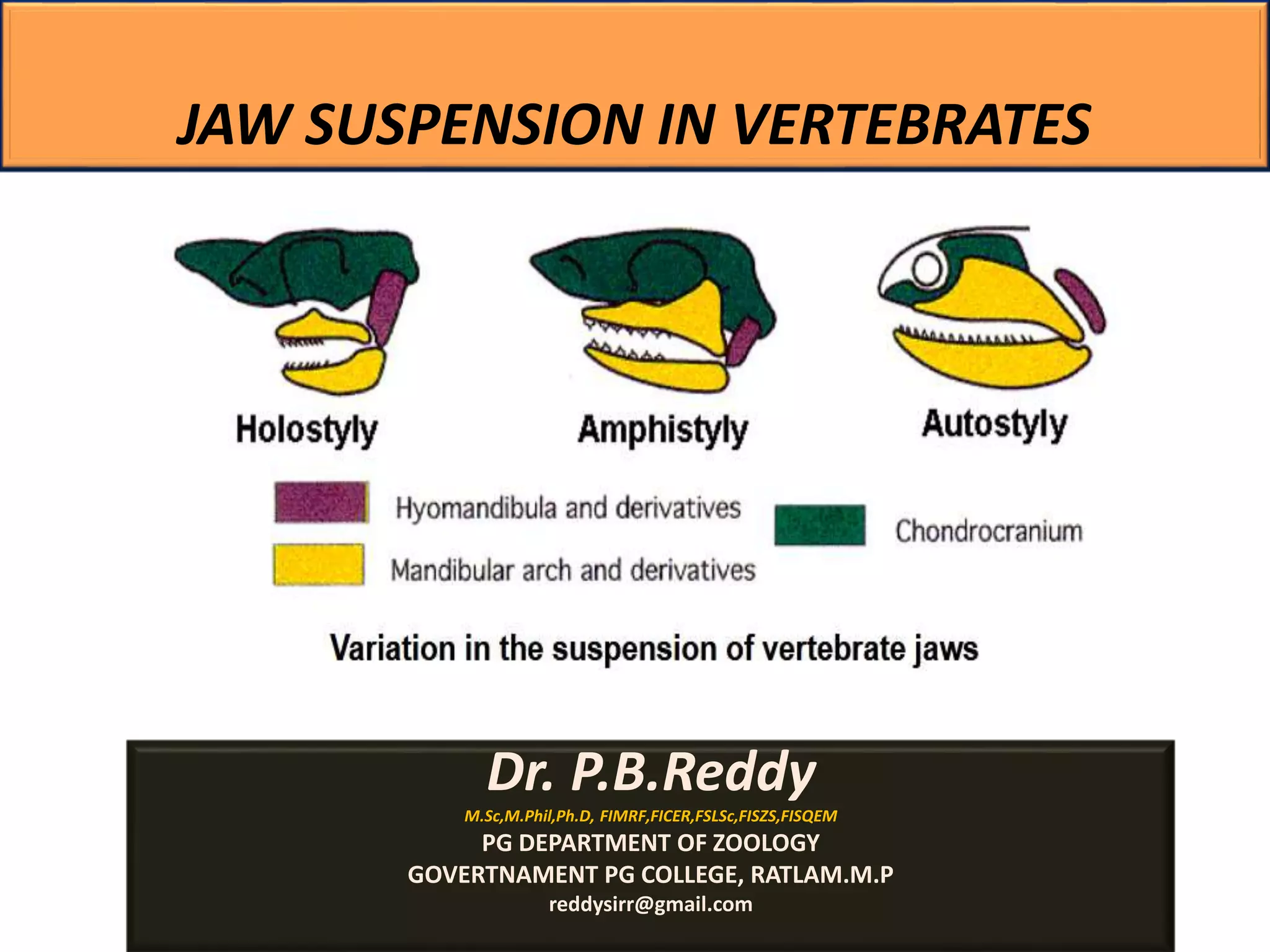 Jaw suspension in vertebrates [autosaved] | PPTX