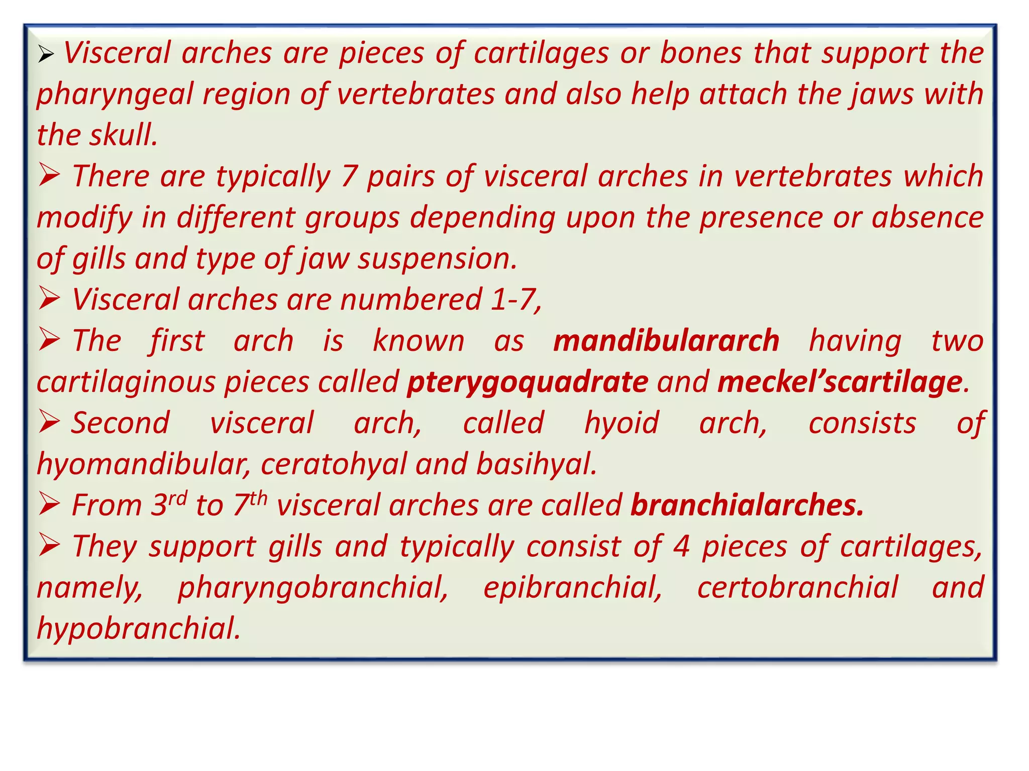 Jaw suspension in vertebrates [autosaved] | PPTX