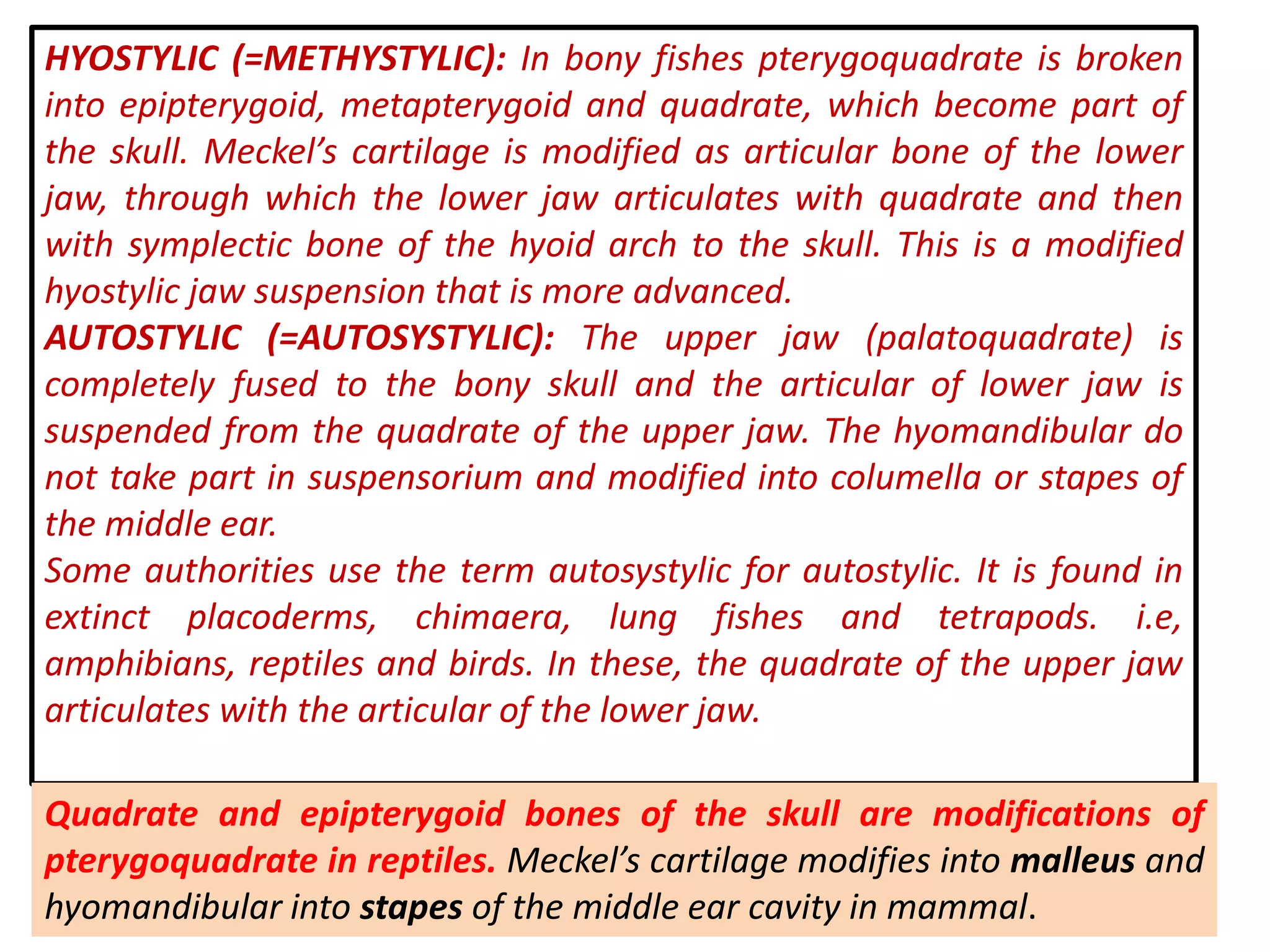 Jaw suspension in vertebrates [autosaved] | PPTX