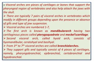 Jaw suspension in vertebrates [autosaved] | PPTX