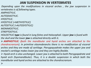 Jaw suspension in vertebrates [autosaved] | PPTX