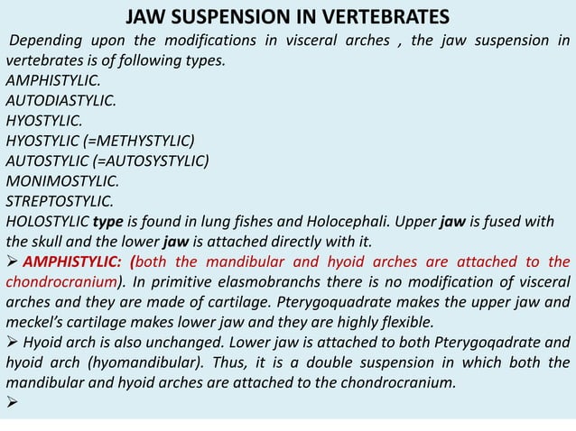 Jaw suspension in vertebrates [autosaved] | PPTX | Fish and Aquariums ...