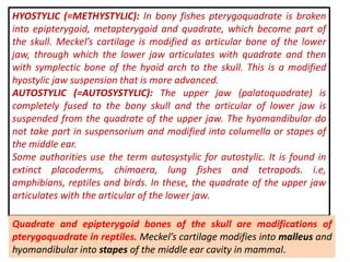 Jaw suspension in vertebrates [autosaved] | PPTX