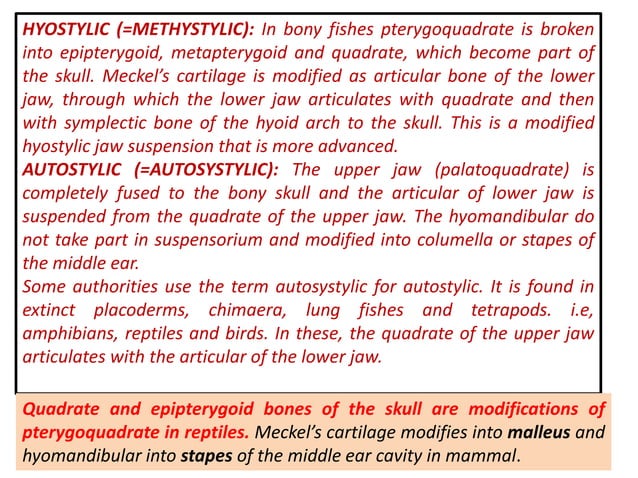 Jaw suspension in vertebrates [autosaved] | PPTX | Fish and Aquariums ...
