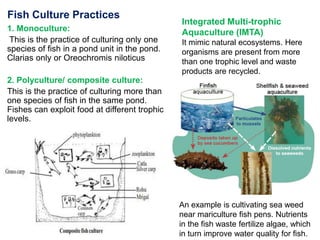 Jayachandran aquaculture systems | PPT